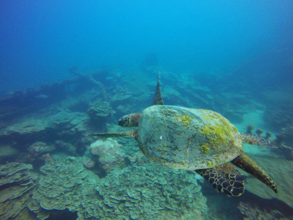 A Quick Guide To Samoa's Top Sites, Attractions & Experiences