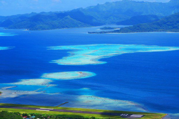 The Hunt For The Rarest Flower In Raiatea Island | X Days In Y