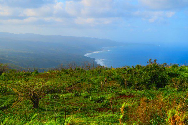 Volcano Hunting & Tribal Living In Tanna Island | X Days In Y