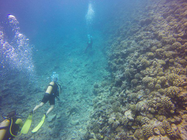 The Complete & In-Depth Moorea Travel Guide | X Days In Y