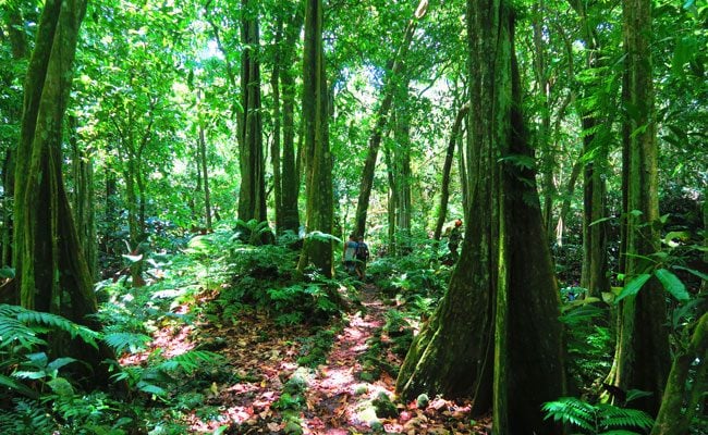 The Independent Traveler's Guide To Moorea | X Days In Y