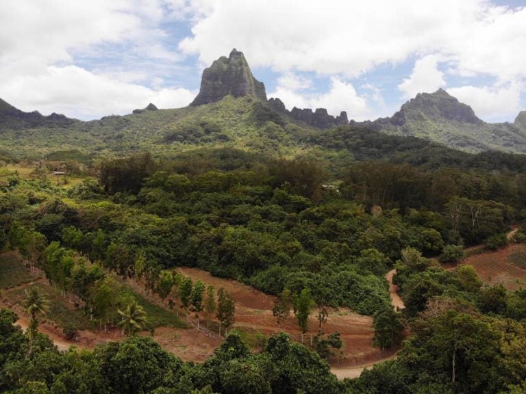 The Independent Traveler's Guide To Moorea | X Days In Y