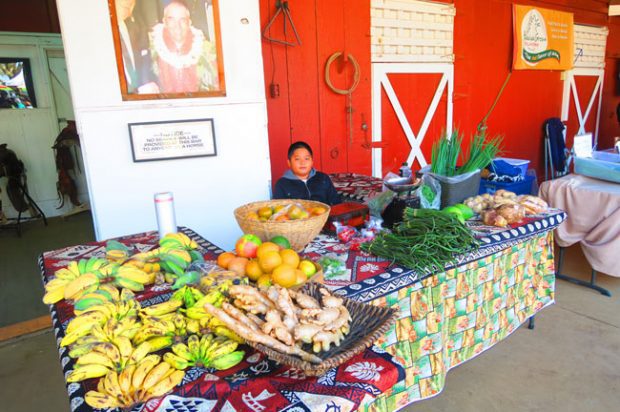 5 Days In The Big Island Sample Itinerary | Hawaii Travel Guide