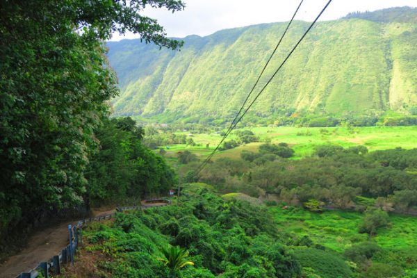 The Mother Of All Valleys On The Big Island Of Hawaii | X Days In Y