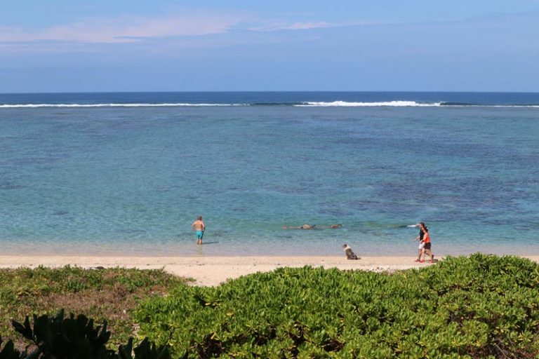 A Detailed Itinerary For Spending Up To 2 Weeks In Reunion Island