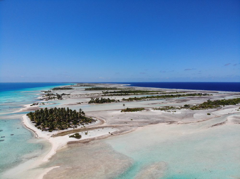 The Complete and In-Depth Tikehau Travel Guide | X Days In Y