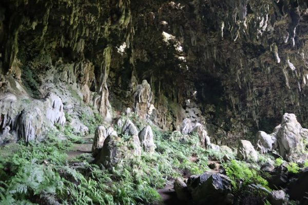 Traveling in French Polynesia During COVID: Part 4 - Rurutu Island