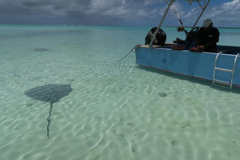 Top 10 Things To Do In Maupiti Island | X Days In Y