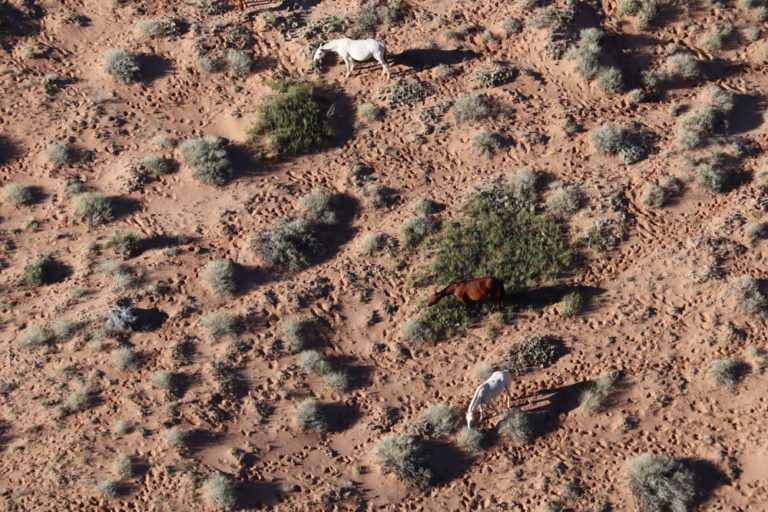 How To Visit Arizona's Canyon de Chelly: Travel Guide & Itinerary