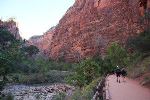 A Guide To The Best Hikes In Zion National Park