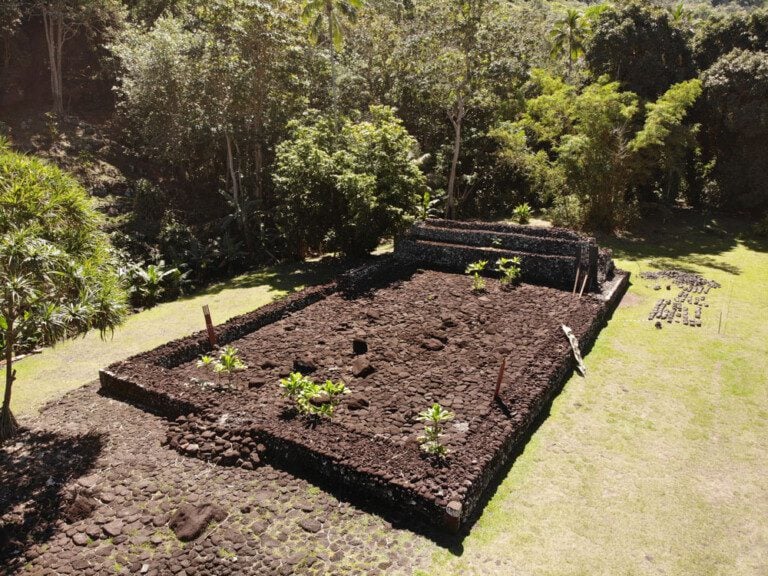 Top 10 Things To Do In Tahiti, French Polynesia | X Days In Y