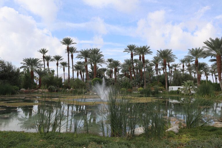 Palm Springs Travel Guide & Itinerary - Plan a Perfect Weekend